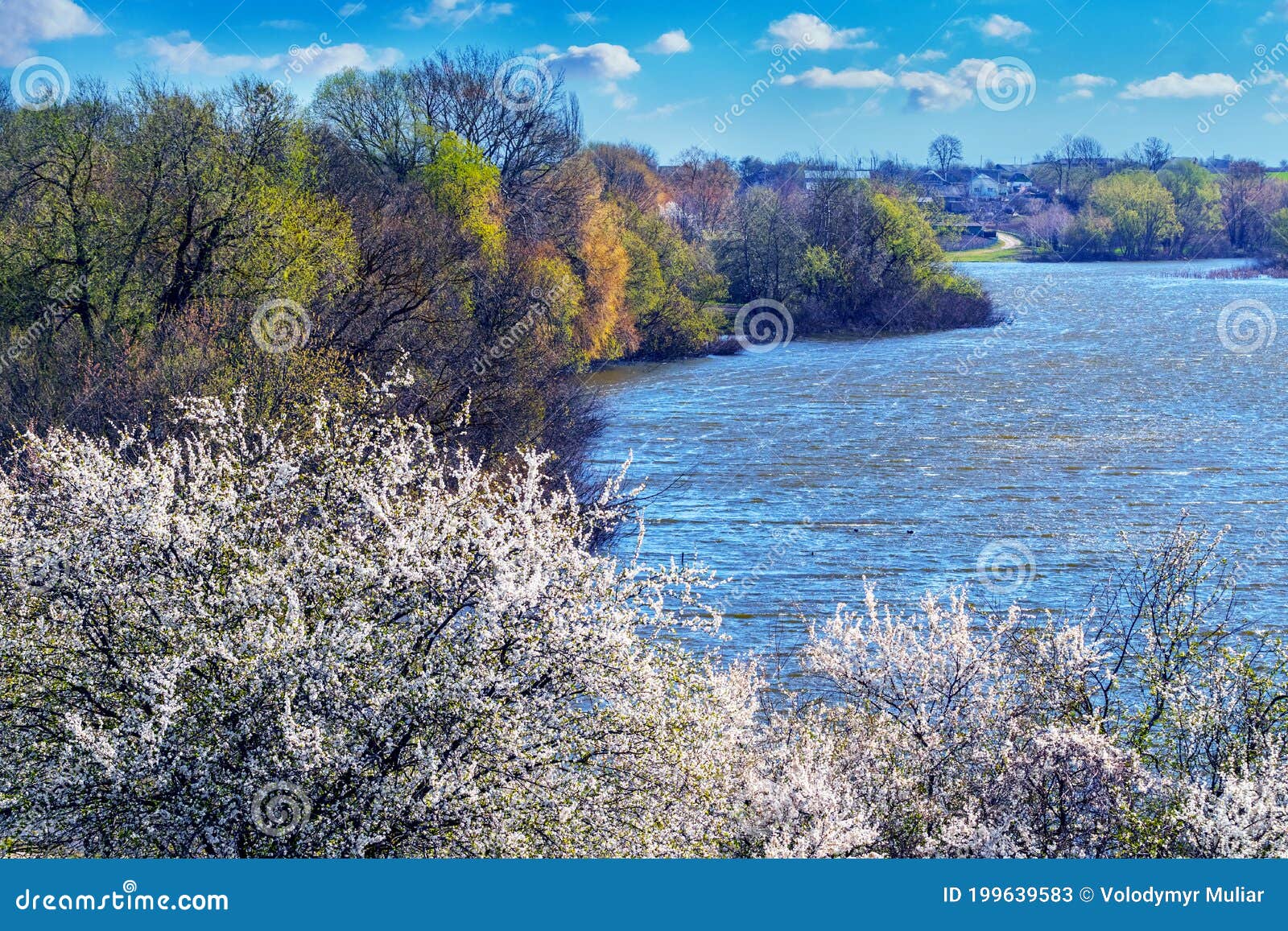 Spring Landscape with Flowering Trees by the River Stock Image - Image ...