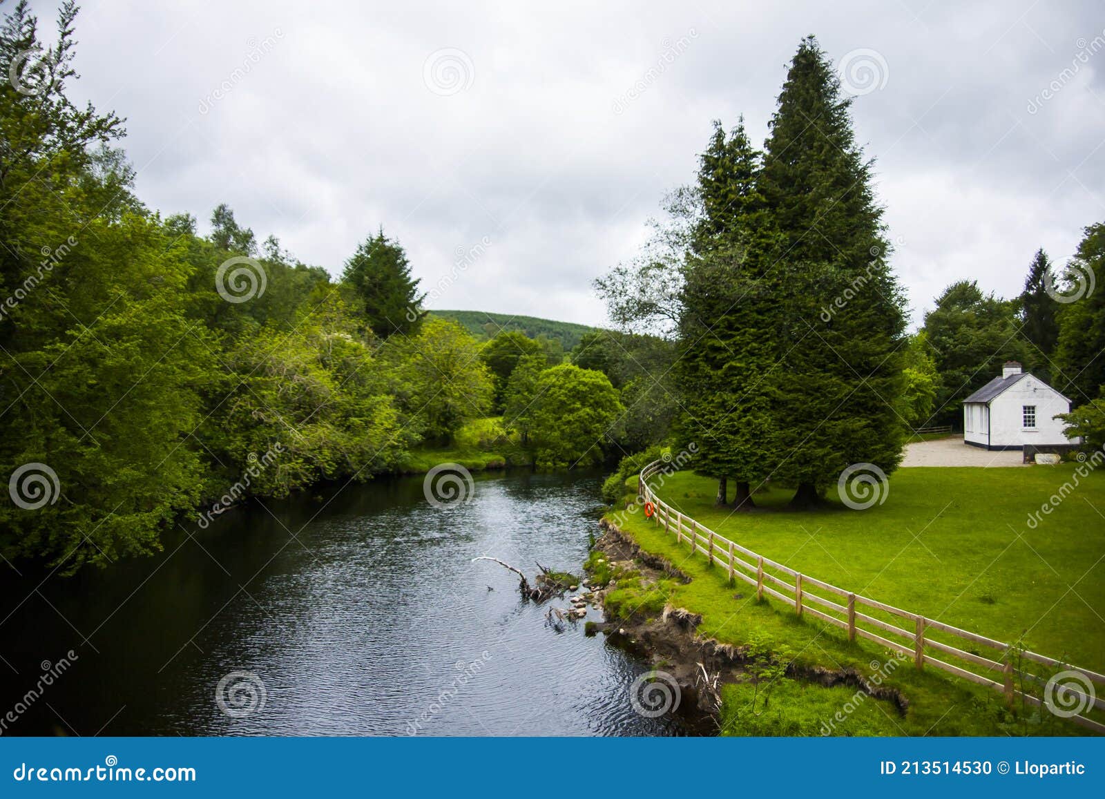 Spring Landscape in the Forests of Ireland Stock Photo - Image of cliff ...