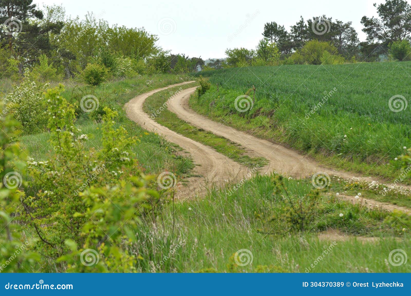 Spring Landscape with Fresh Greenery Stock Image - Image of spring ...
