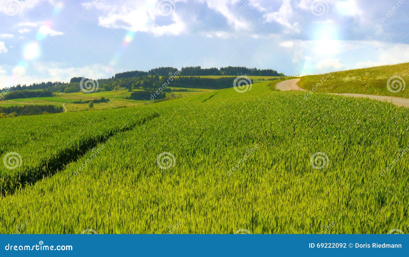 Spring Landscape Germany Fields Flowers Summer Sun Spring Landscape ...
