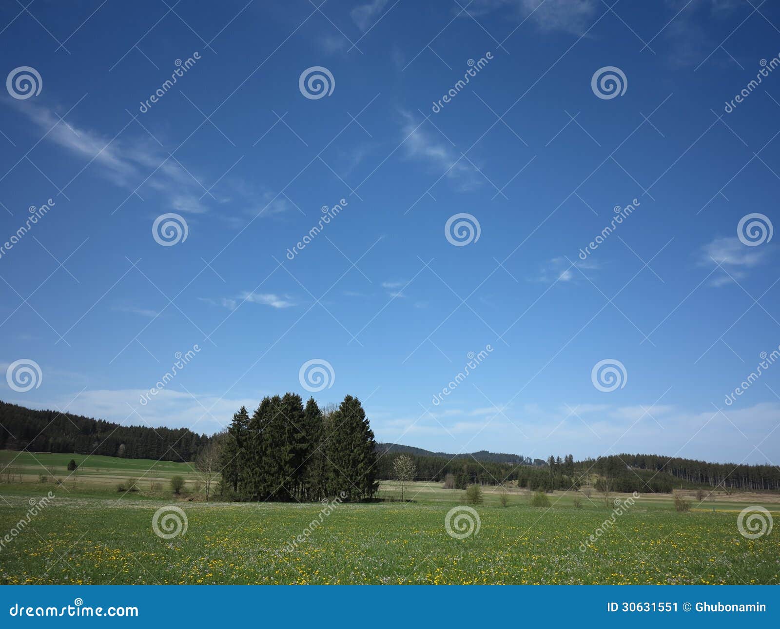 Spring landscape stock image. Image of color, light, field - 30631551