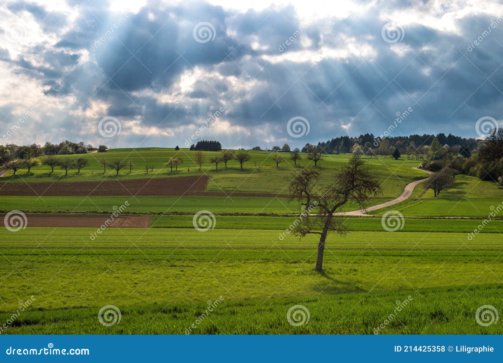 Spring Landscape. Green Field Dramatic Blue Sky Sun Rays Stock Photo ...