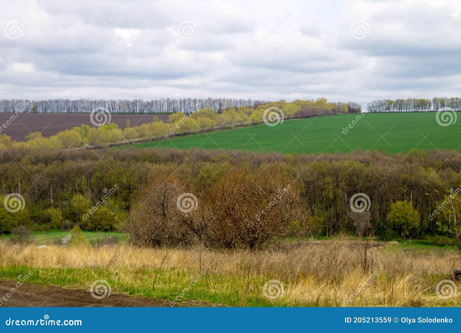 Spring Landscape with Green Field, Hills and Trees Stock Image - Image ...