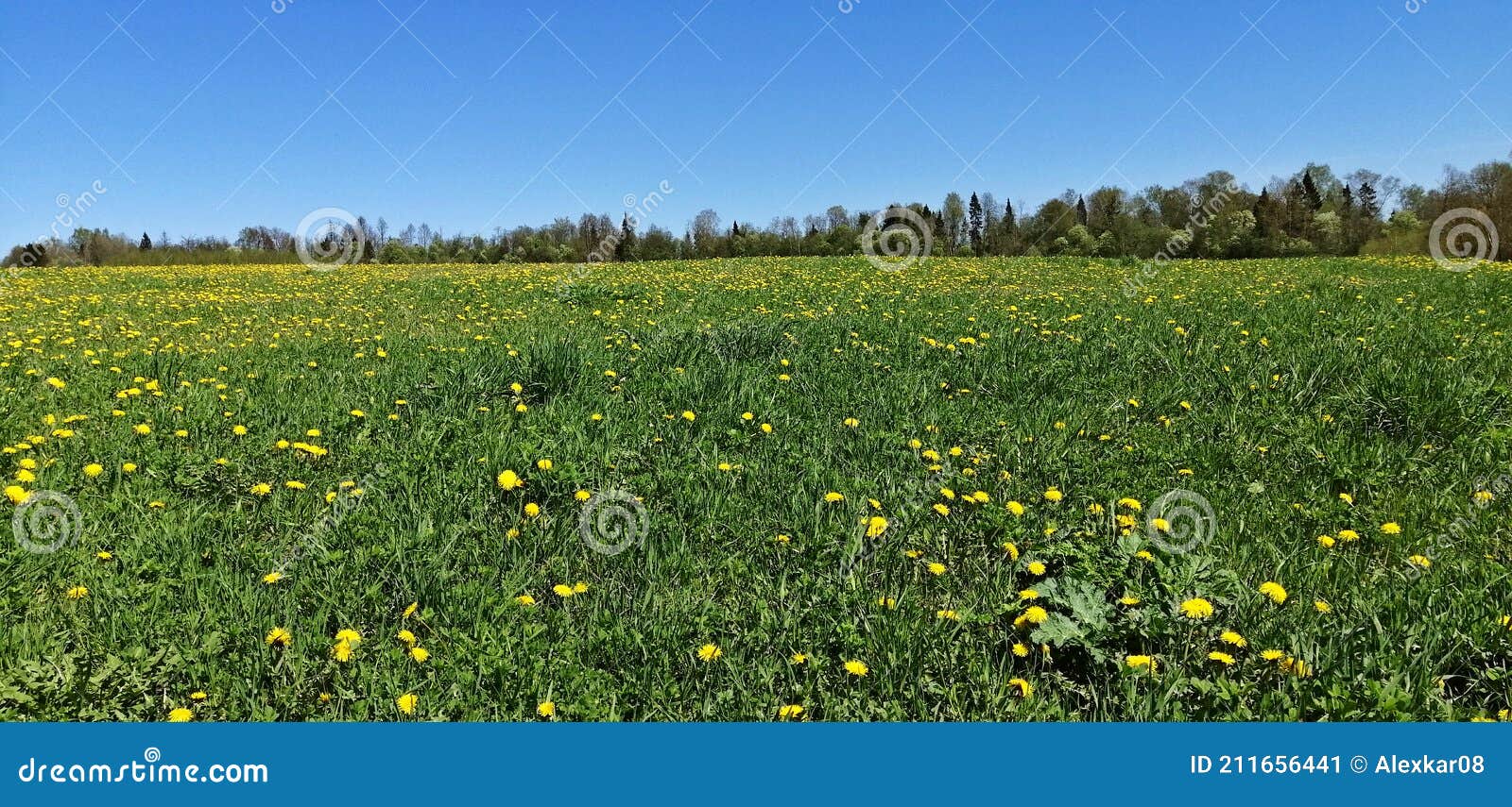 Spring landscape stock image. Image of colourful, floral - 211656441