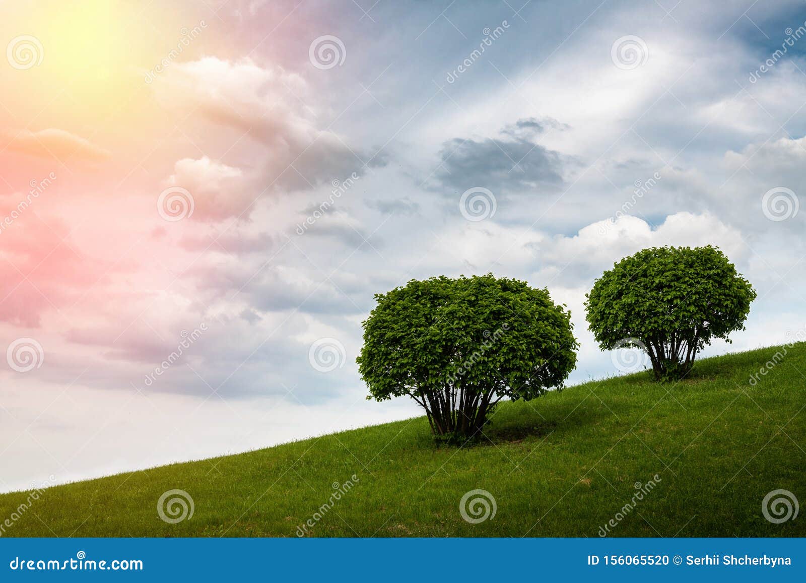 Spring Landscape Green Grass Tree and Storm Sky Stock Photo - Image of ...