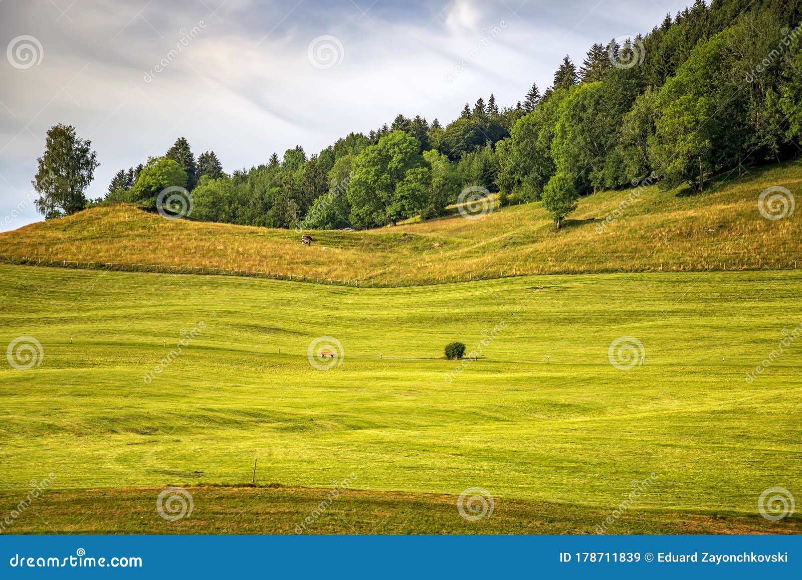 Green Rolling Hills and Lonely Bench in the Heart of Germany Stock ...
