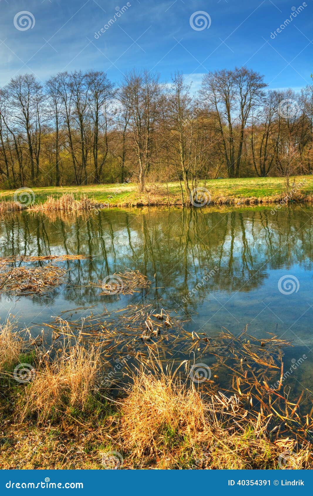 Spring landscape HDR stock image. Image of beautiful - 40354391