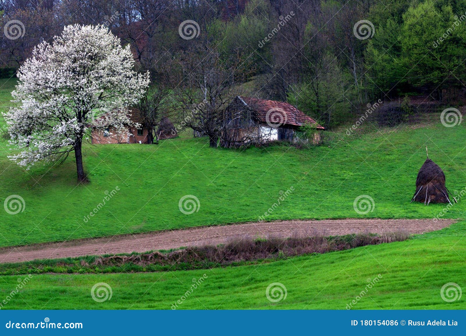 Spring Landscape on the Hills Stock Photo - Image of summer, river ...