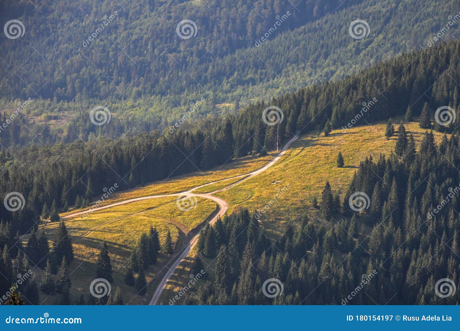 Spring Landscape on the Hills Stock Image - Image of tree, horizon ...