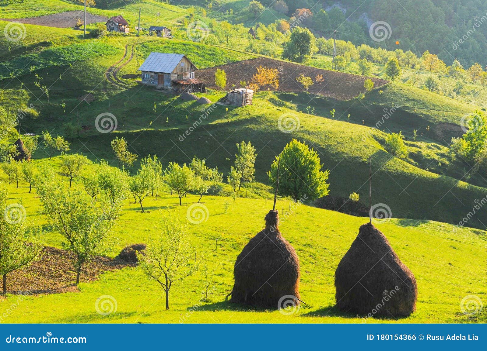 Spring Landscape on the Hills Stock Photo - Image of season, spring ...