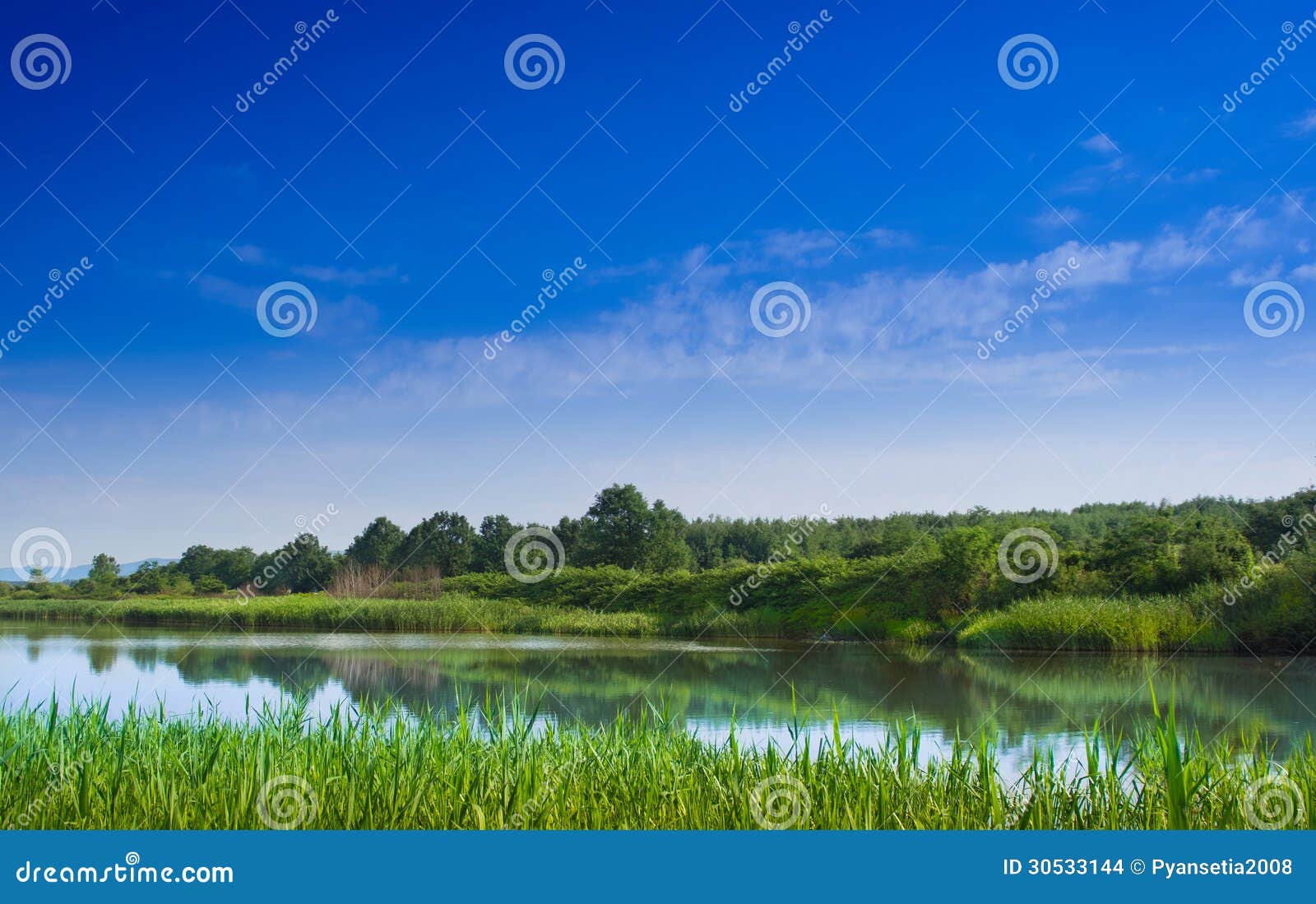 Spring Landscape with a Lake Stock Photo - Image of bright, natural ...
