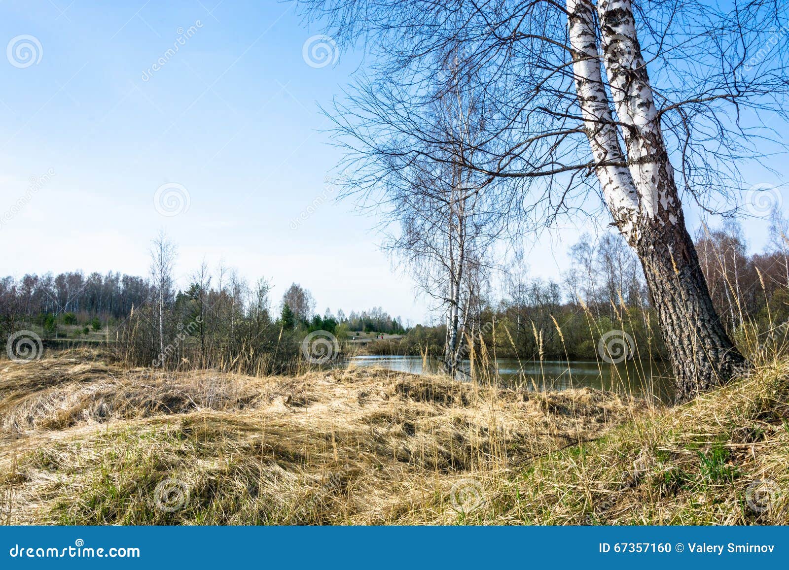 Spring Landscape with a Lake. Stock Photo - Image of nature, outdoors ...