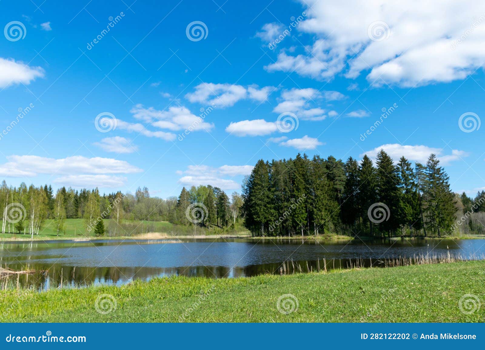 Spring Landscape with a Lake, the First Bright Green of Spring ...