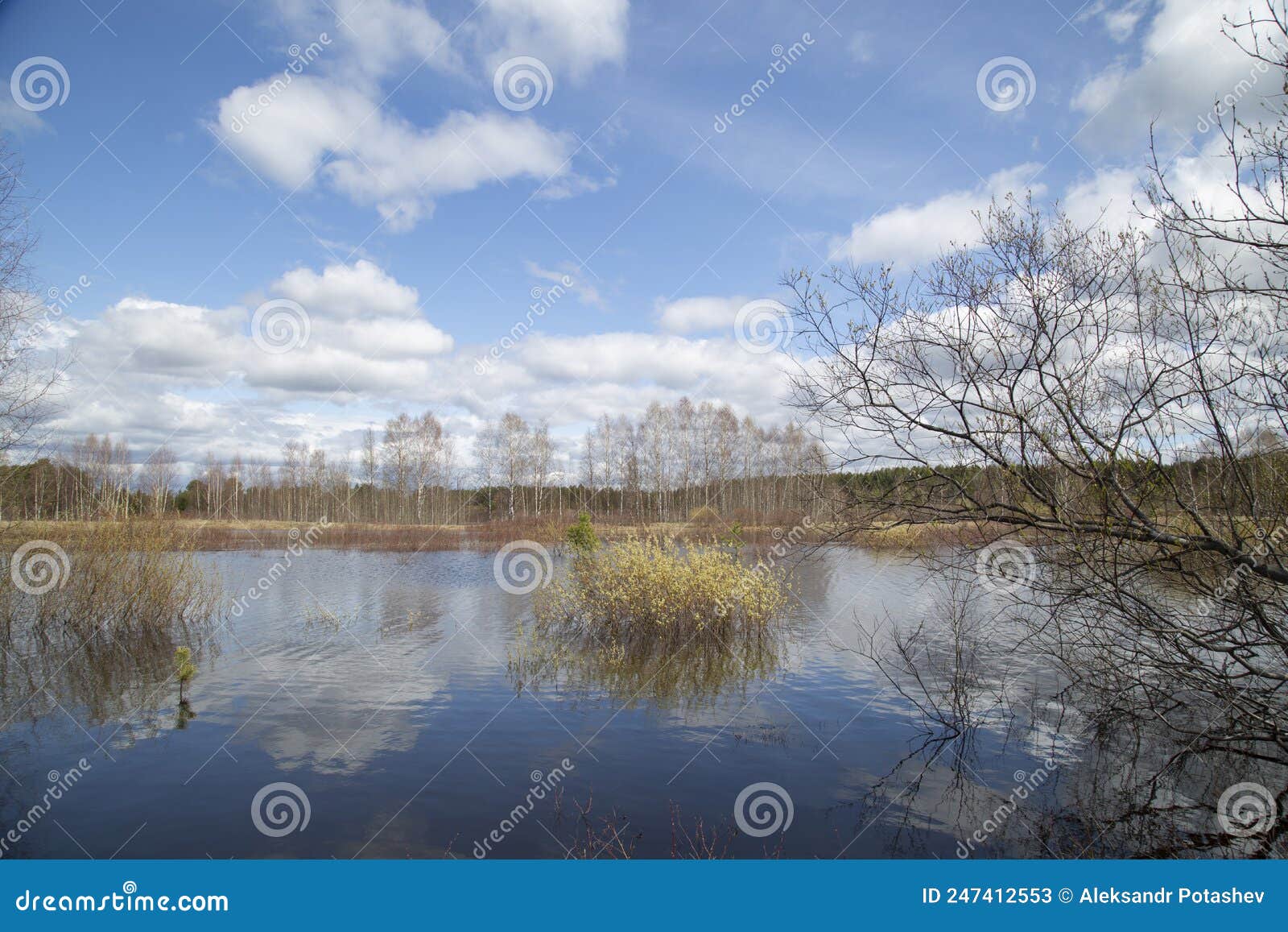 Spring Landscape on a Lake with Flooded Trees Stock Image - Image of ...