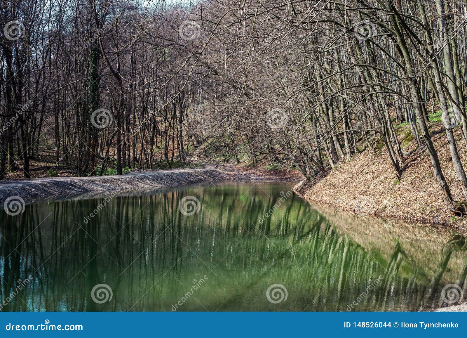 Spring Landscape with Lake in Forest Stock Photo - Image of nature ...