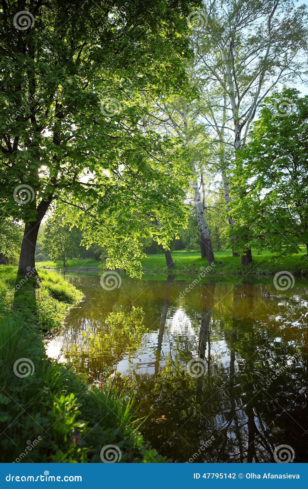 Spring landscape with lake stock photo. Image of shore - 47795142