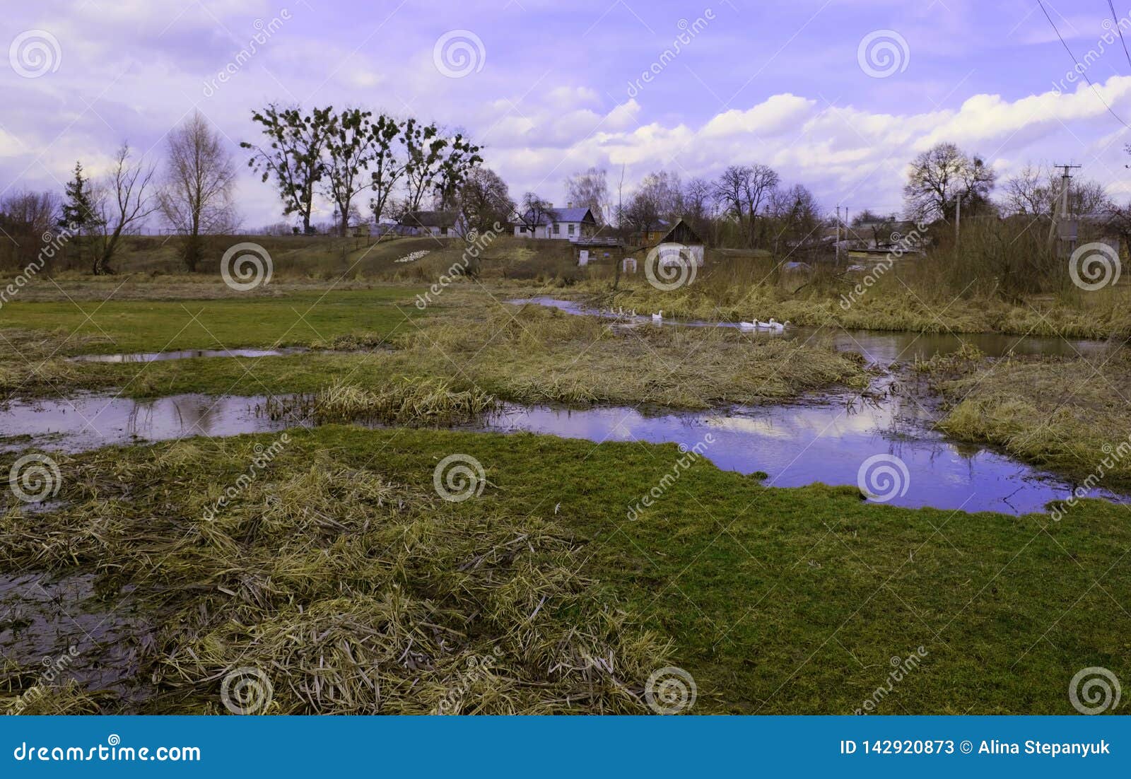 Spring Landscape on the Lake. Nature Stock Image - Image of rural ...