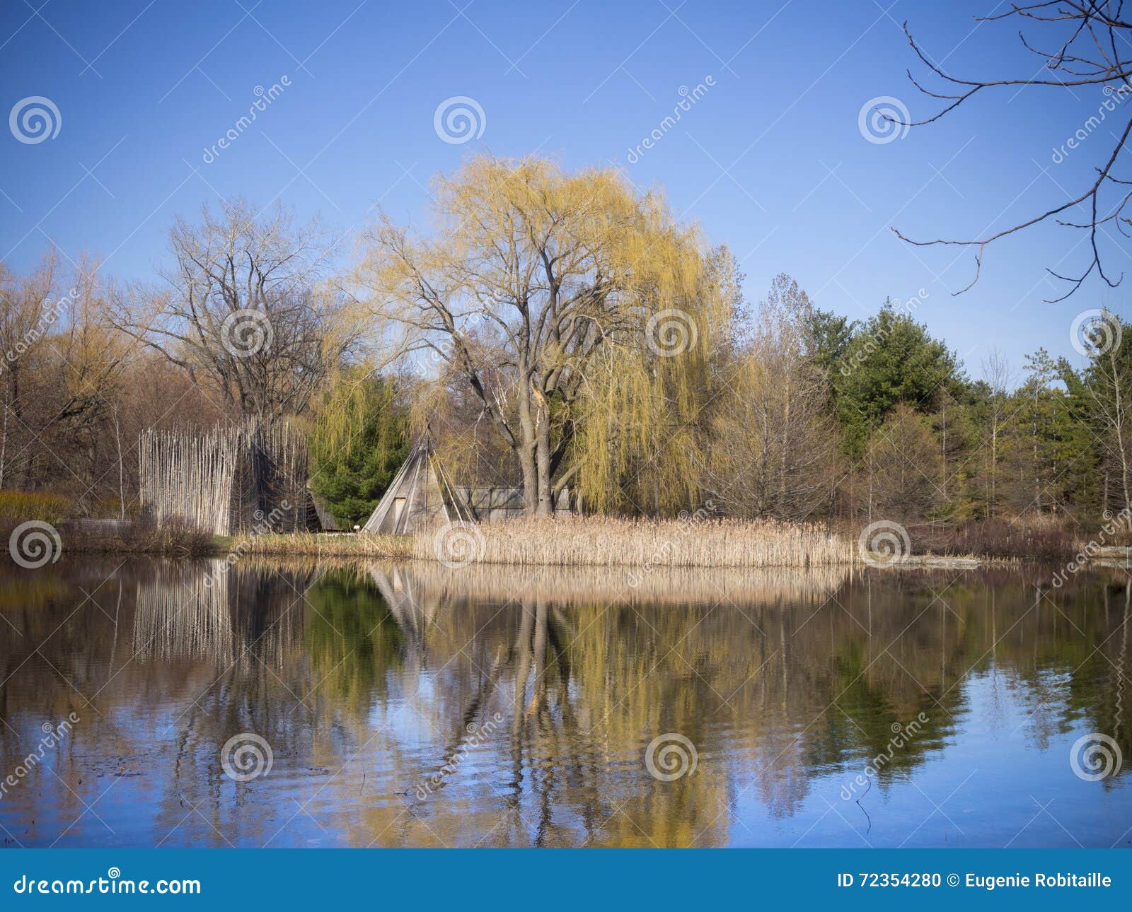 Spring Landscape stock photo. Image of trees, nature - 72354280