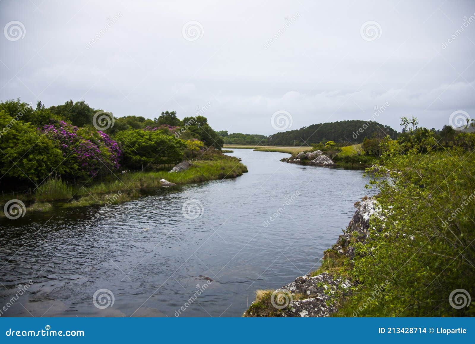 Spring Landscape in the Lands of Ireland Stock Photo - Image of coast ...