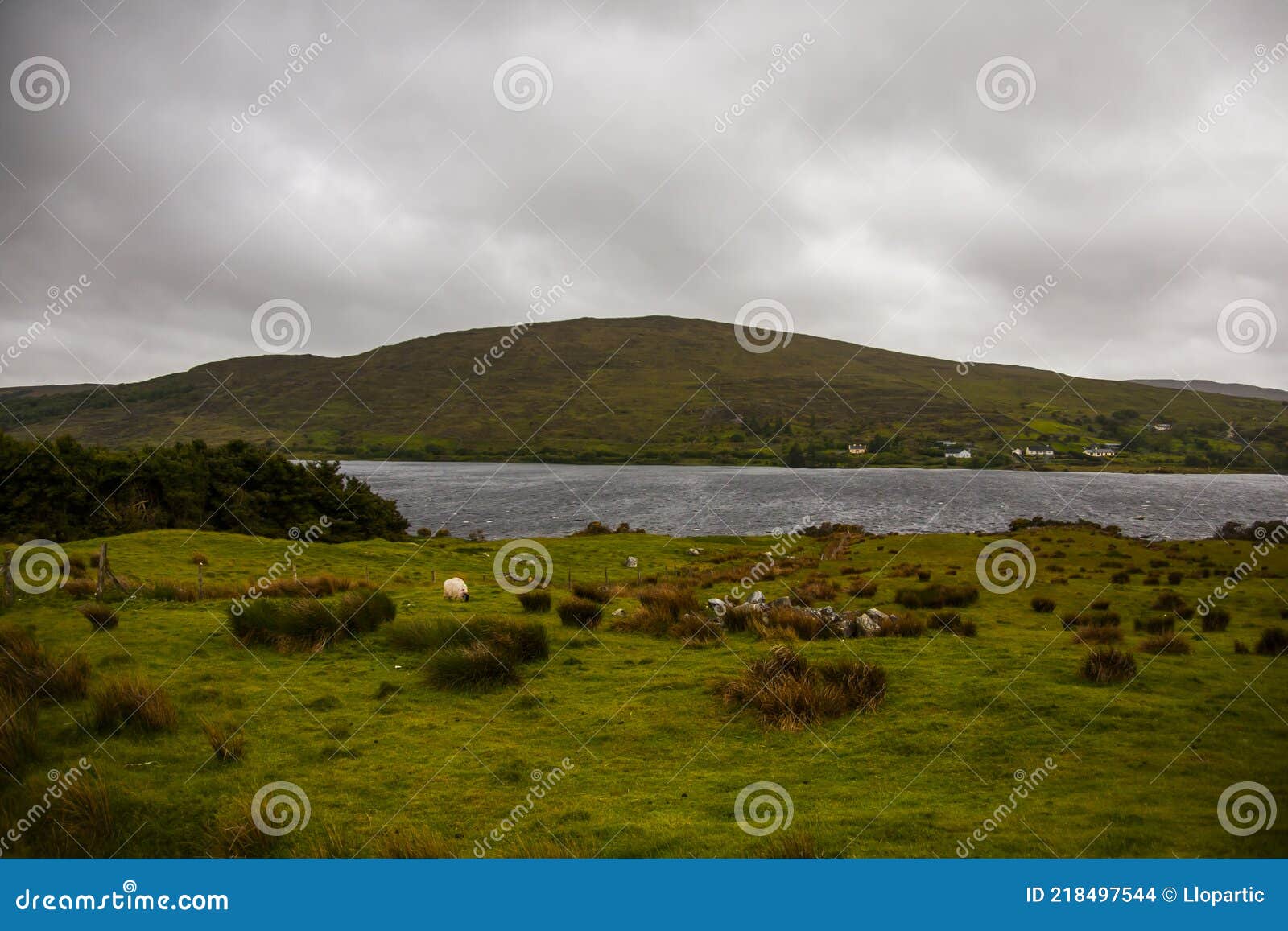 Spring Landscape in the Lands of Ireland Stock Photo - Image of natural ...