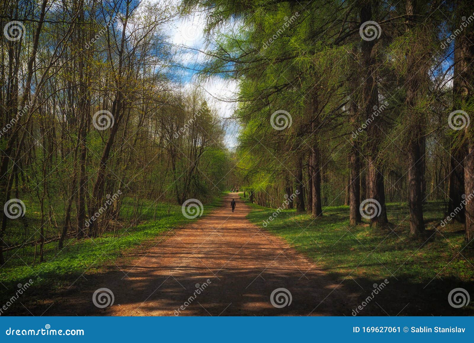 Spring Landscape with a Man Walking Along the Road. Stock Image - Image ...