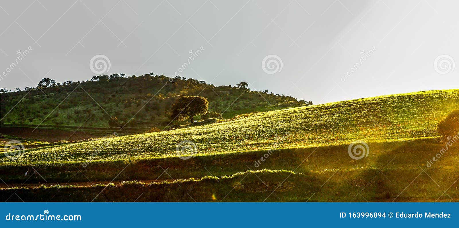 Spring Landscape in the Montes De Toledo Stock Photo - Image of water ...