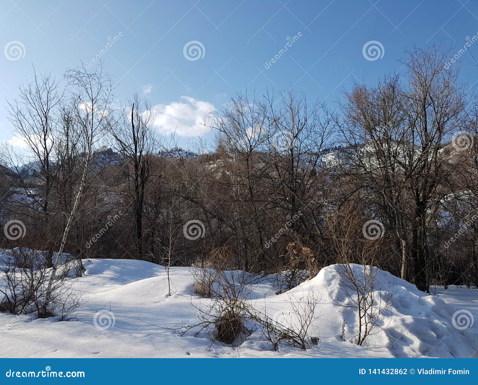 Spring Begins Mountains stock photo. Image of trees - 141432862