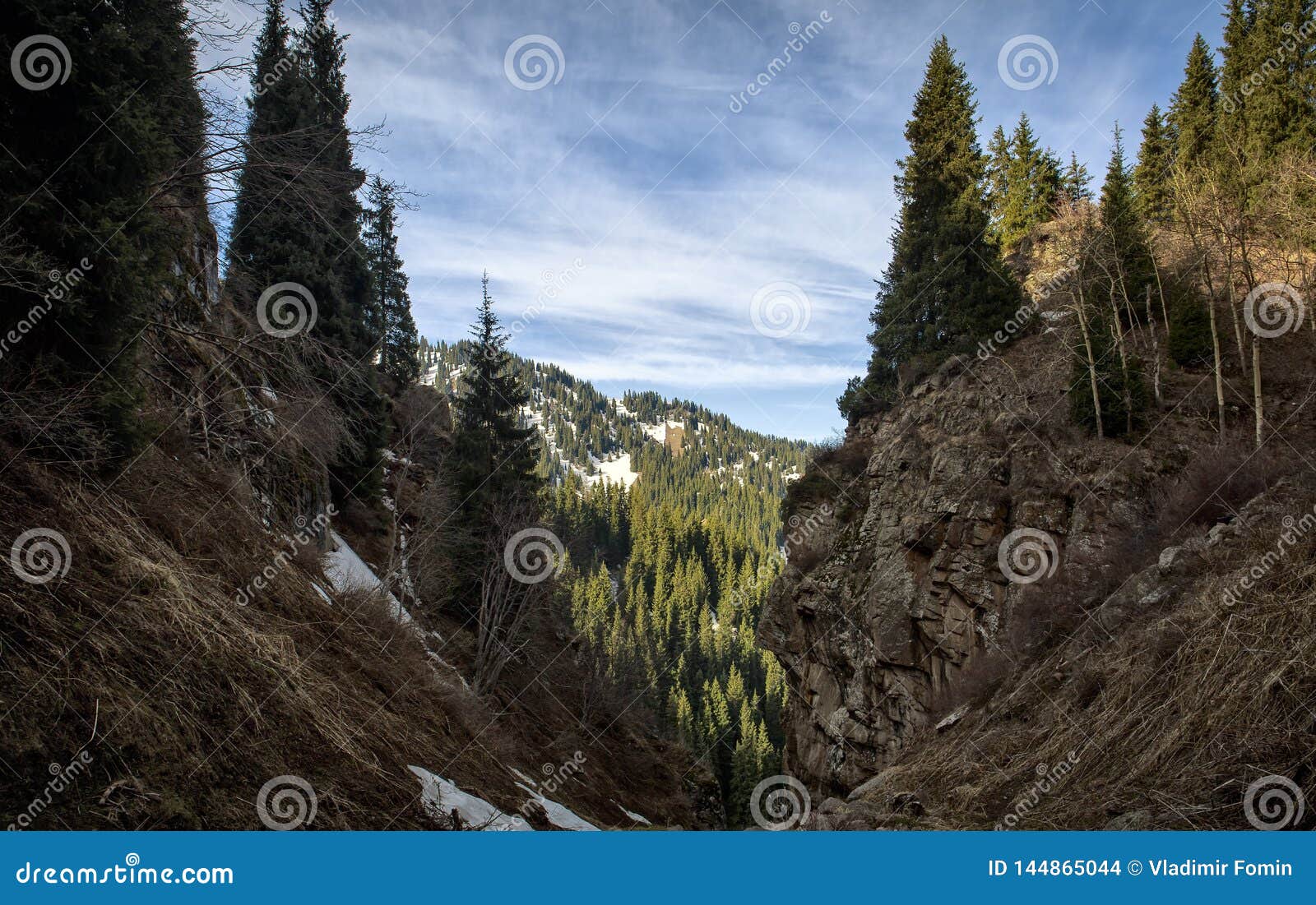 Spring in the Mountain Forest. Stock Photo - Image of background ...