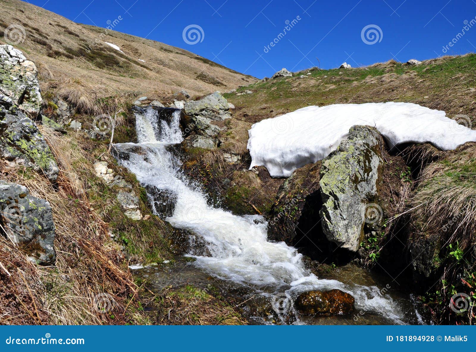 Mountain River in Early Spring in the Shar Mountain, Kosovo Stock Photo ...