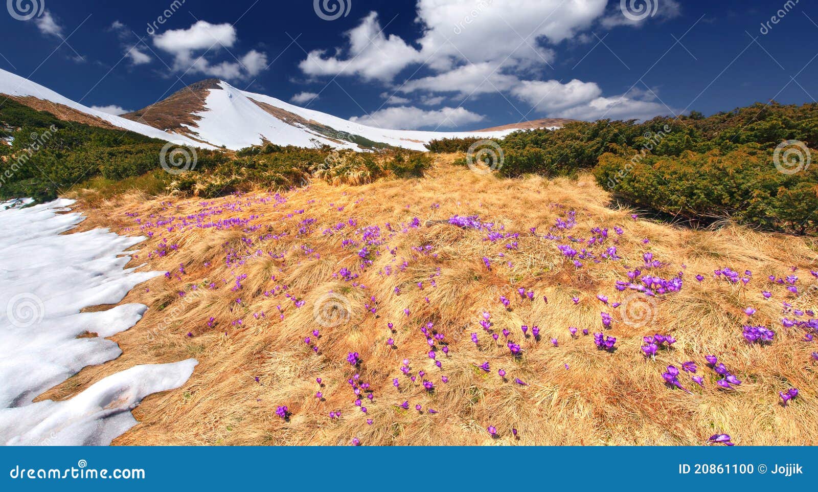 Spring Landscape in the Mountains Stock Photo - Image of environment ...