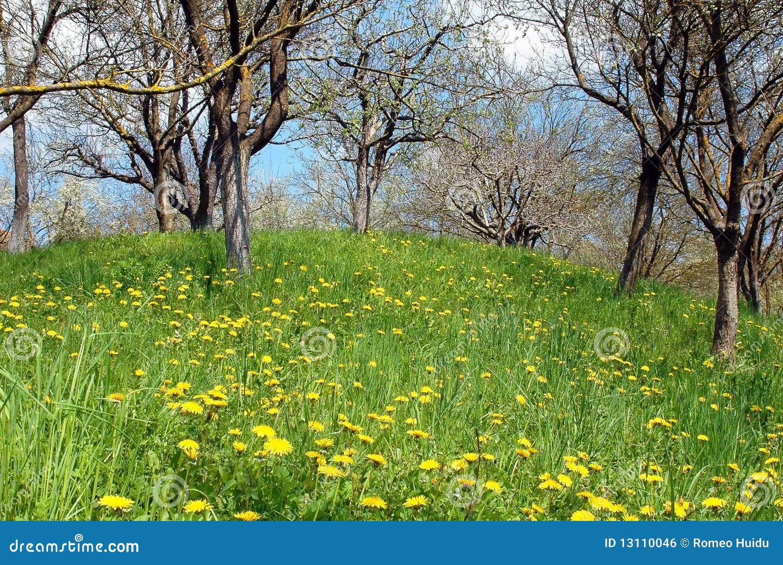 Spring Landscape in the Mountains of Romania Stock Photo - Image of ...