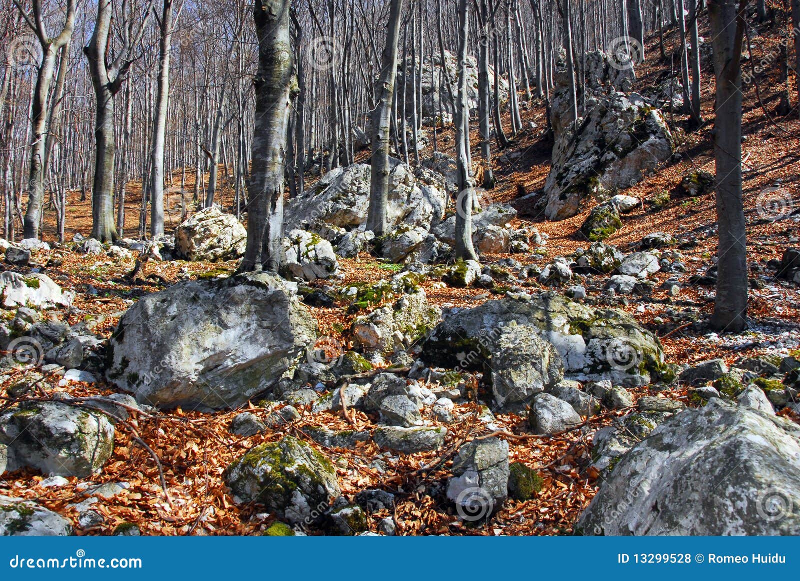 Spring Landscape in the Mountains of Romania Stock Photo - Image of ...