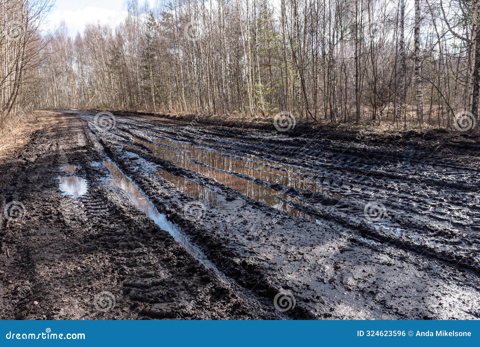 Spring Landscape with Muddy Swamp, Forest Road, Spring, Dirty Wet Road ...