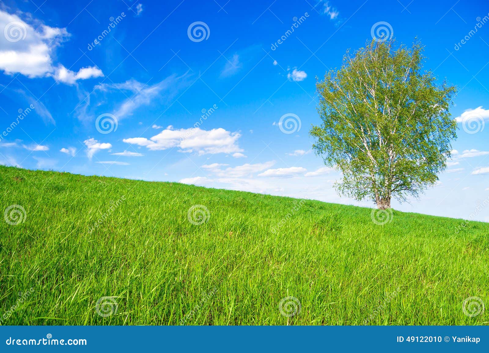 Spring Landscape with a One Tree in the Field Stock Photo - Image of ...