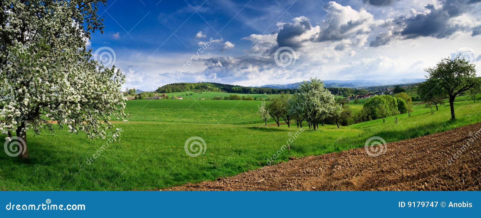 Spring landscape panorama stock image. Image of fresh - 9179747