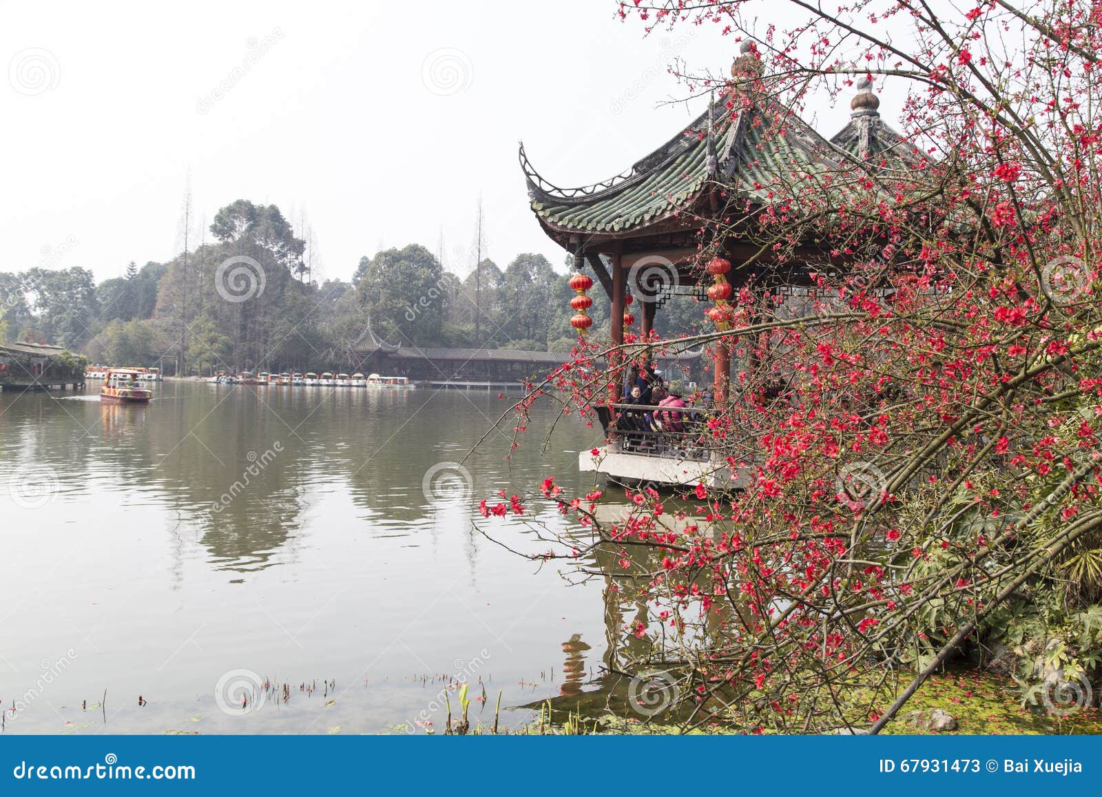 Spring Landscape in a Park,chengdu,china Editorial Stock Photo - Image ...