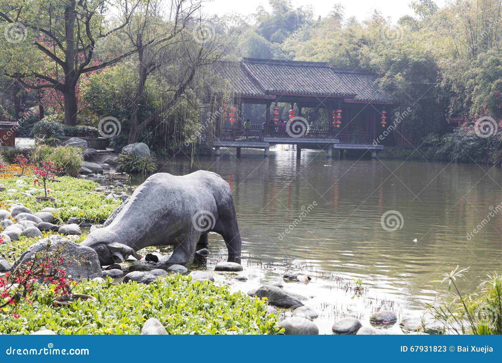 Spring Landscape in a Park,chengdu,china Editorial Stock Photo - Image ...