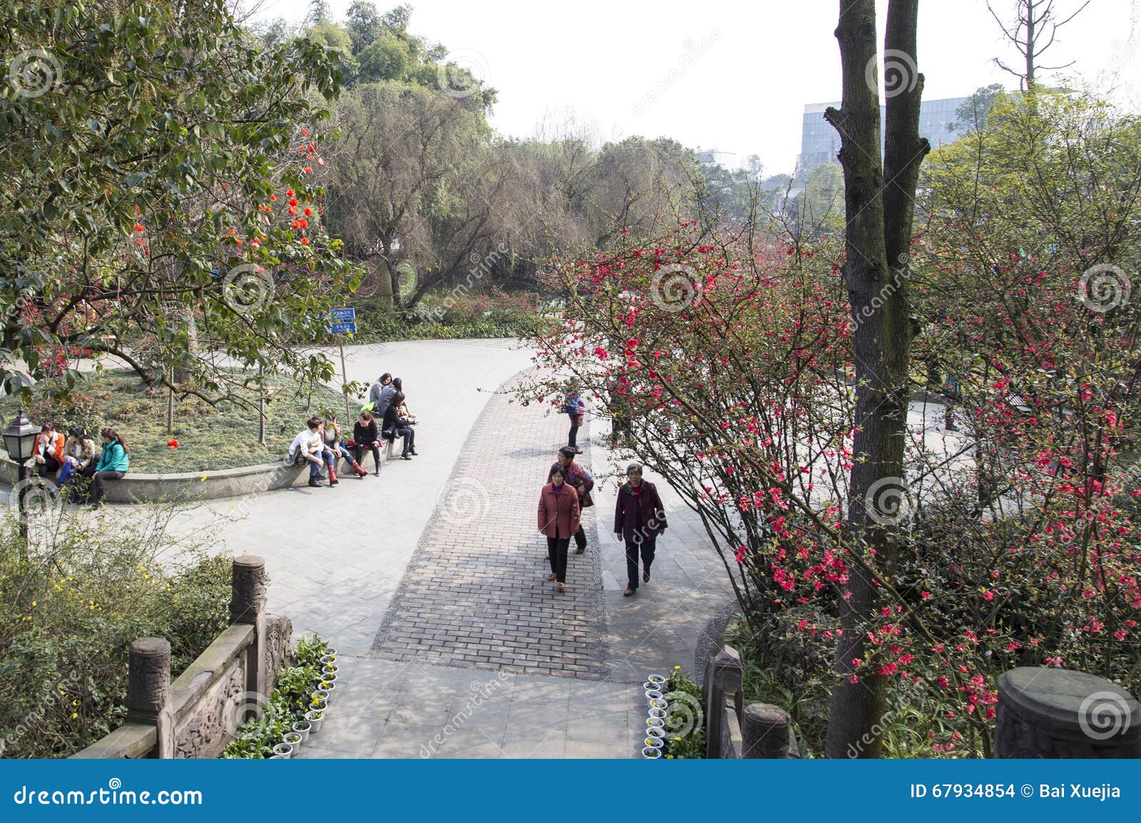 Spring Landscape in a Park,chengdu,china Editorial Stock Image - Image ...