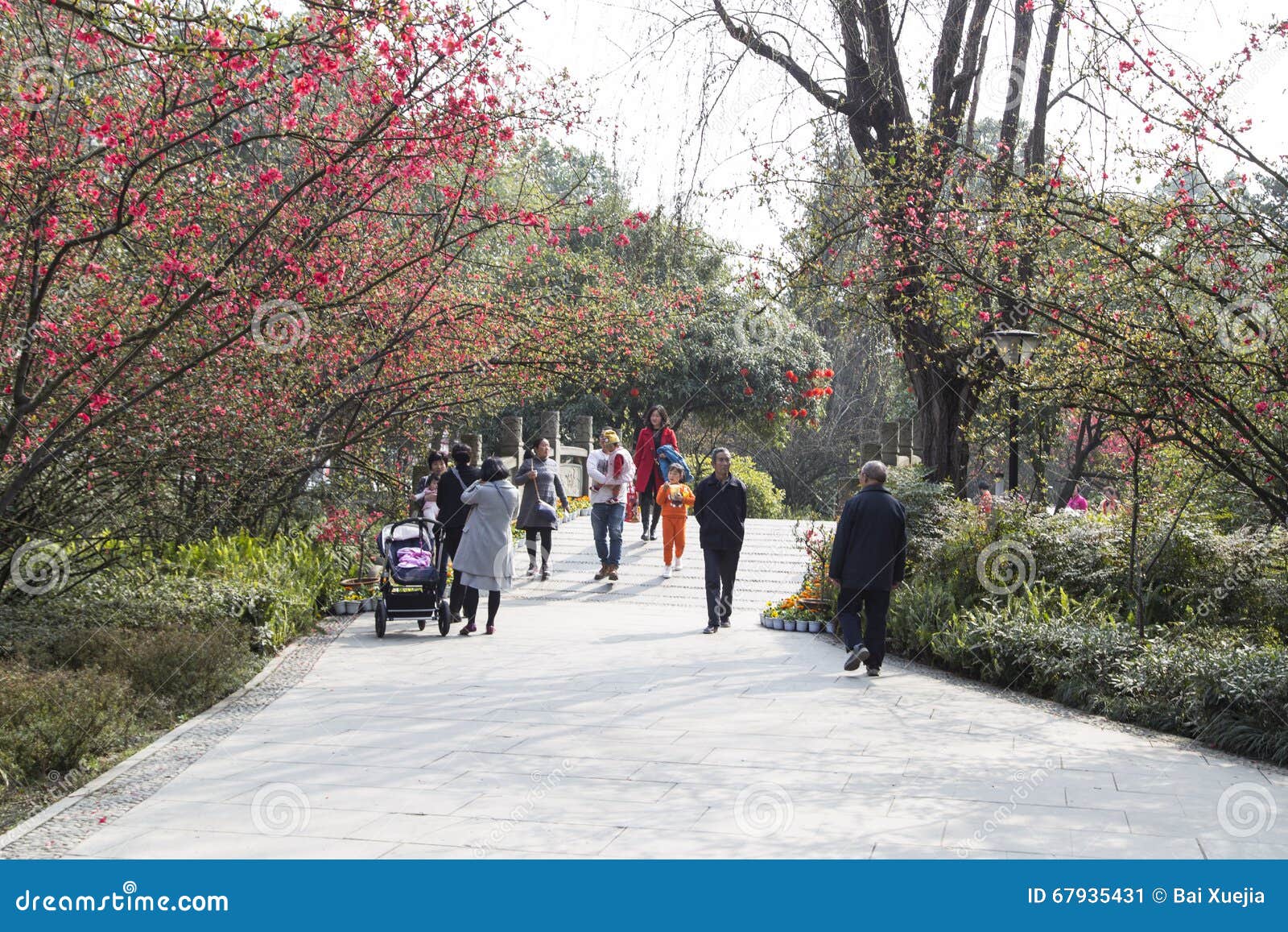 Spring Landscape in a Park,chengdu,china Editorial Photo - Image of ...