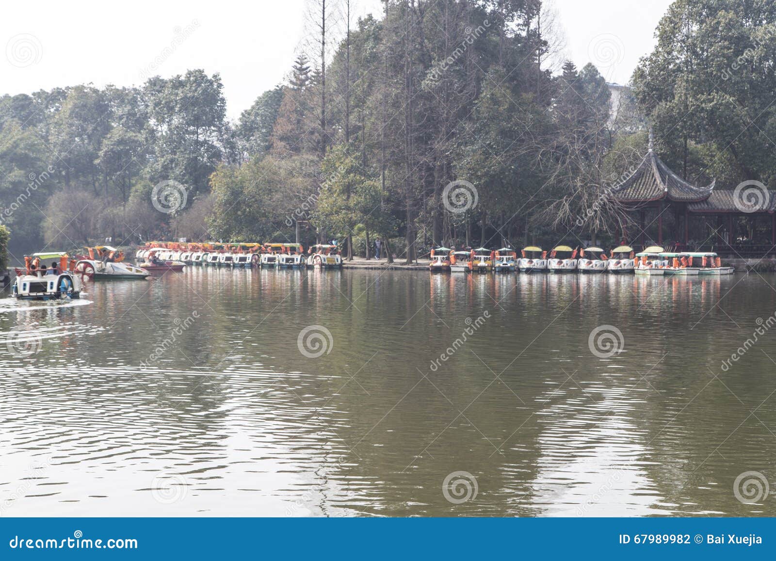 Spring Landscape in a Park,chengdu,china Editorial Photography - Image ...