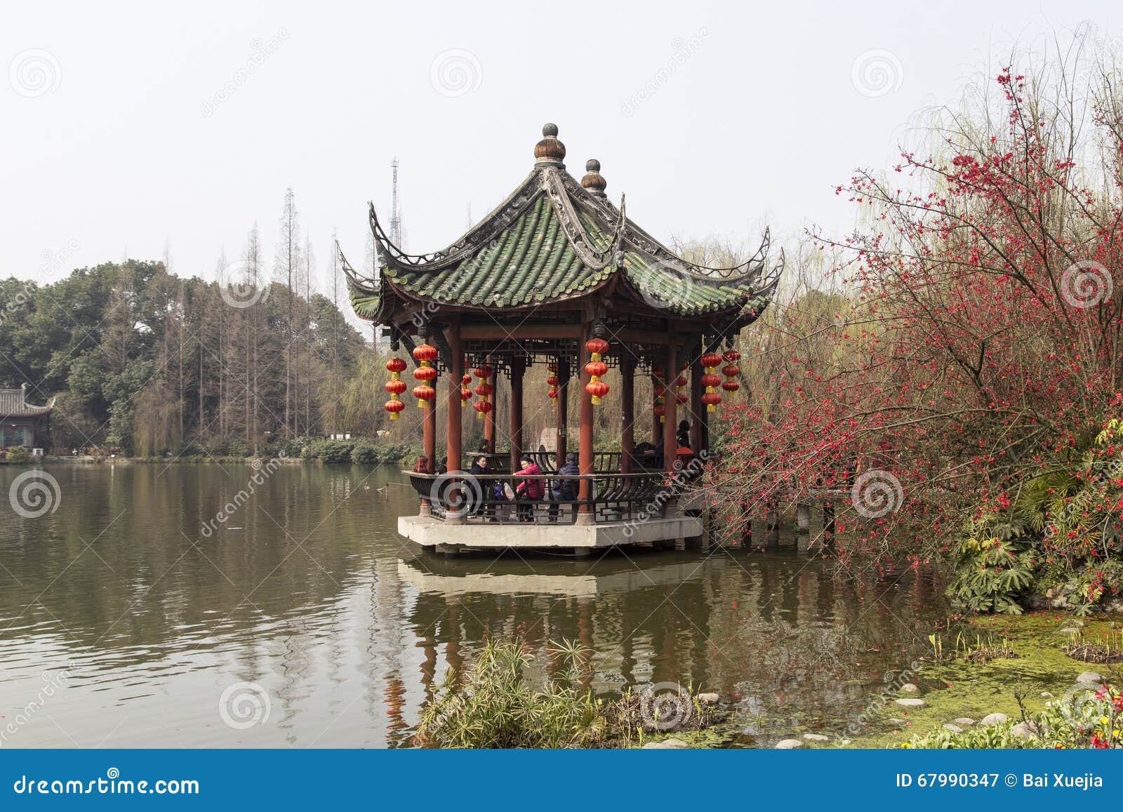 Spring Landscape in a Park,chengdu,china Editorial Photography - Image ...