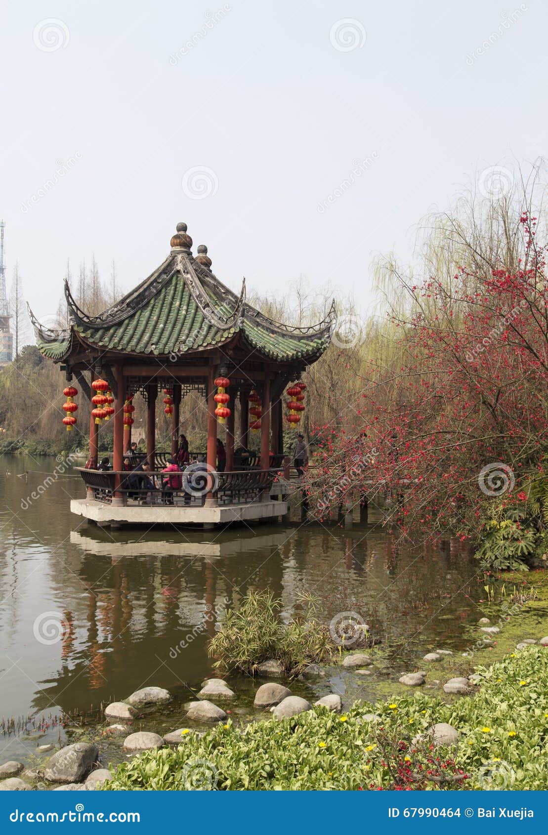 Spring Landscape in a Park,chengdu,china Editorial Stock Image - Image ...