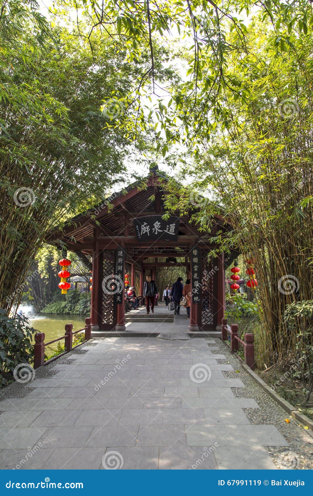 Spring Landscape in a Park,chengdu,china Editorial Stock Image - Image ...