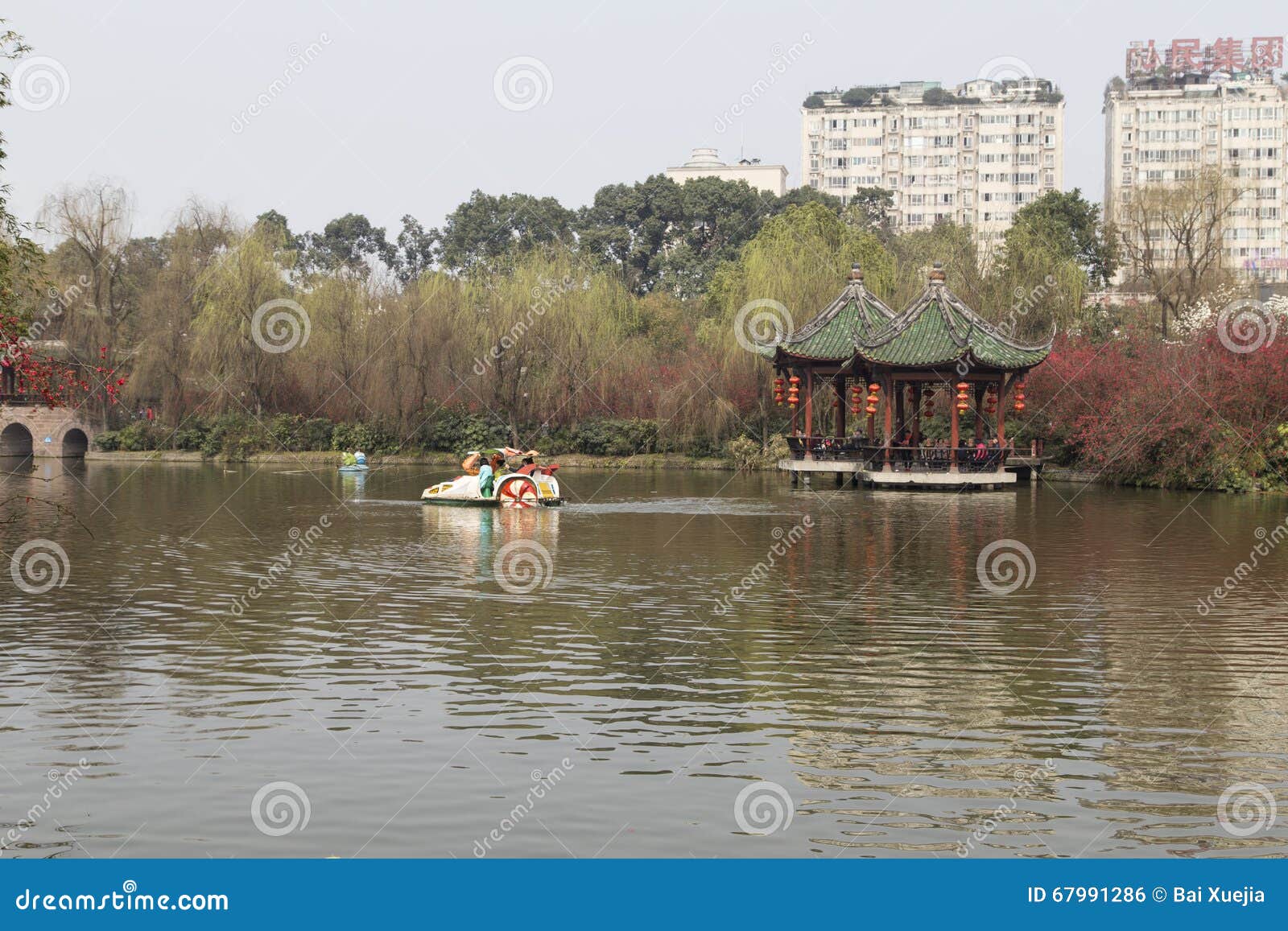 Spring Landscape in a Park,chengdu,china Editorial Photo - Image of ...