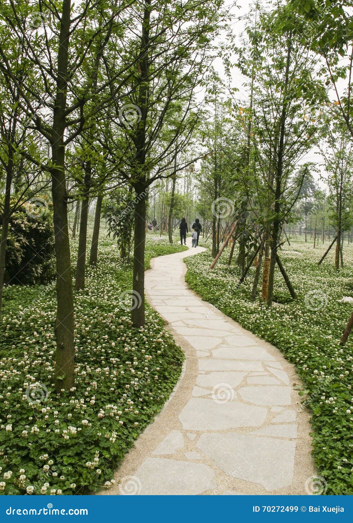 Spring Landscape in a Park,chengdu,china Editorial Stock Image - Image ...