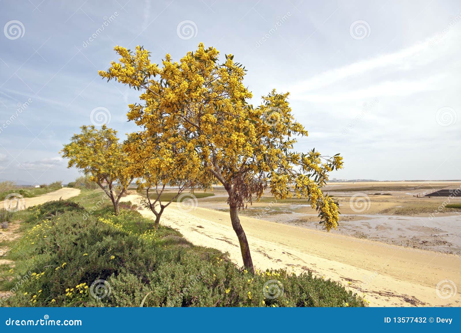 Spring Landscape in Portugal Stock Photo - Image of dirt, colorful ...