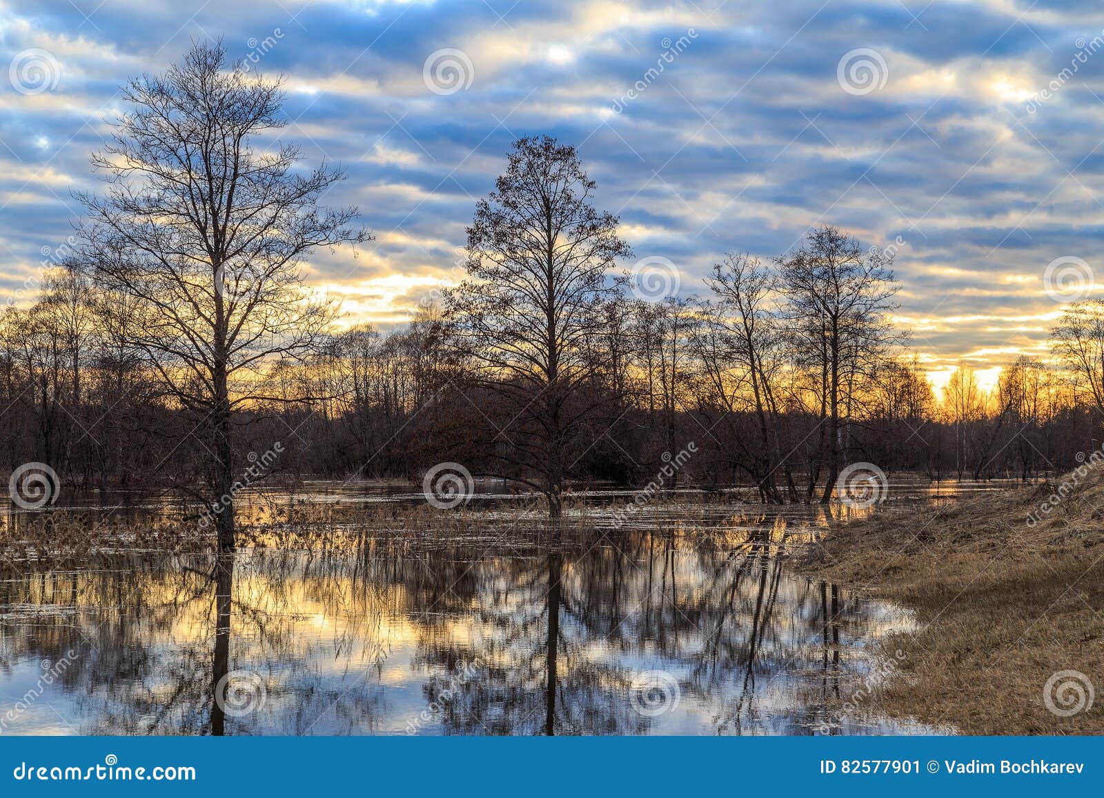 25,179 Flooded Landscape Stock Photos - Free & Royalty-Free Stock ...