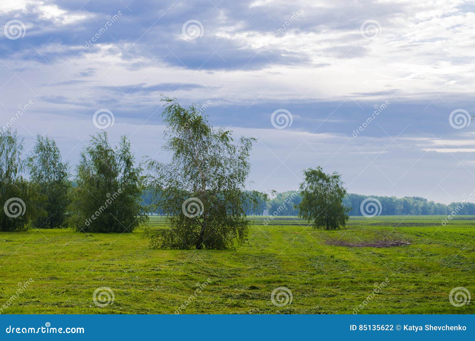 Spring Landscape in Rainy Weather Stock Photo - Image of blue, pasture ...