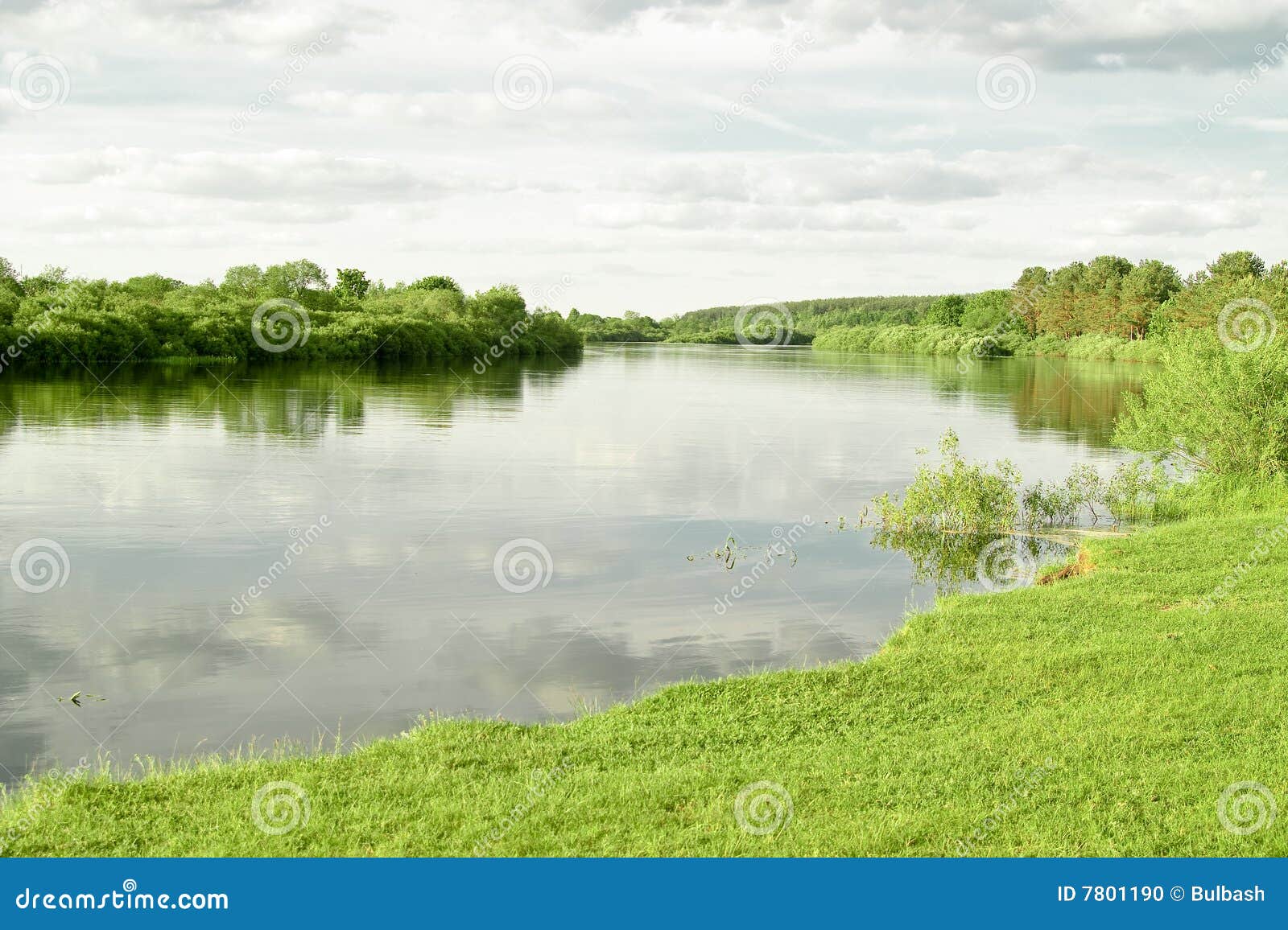 Spring landscape river stock photo. Image of forest, clouds - 7801190
