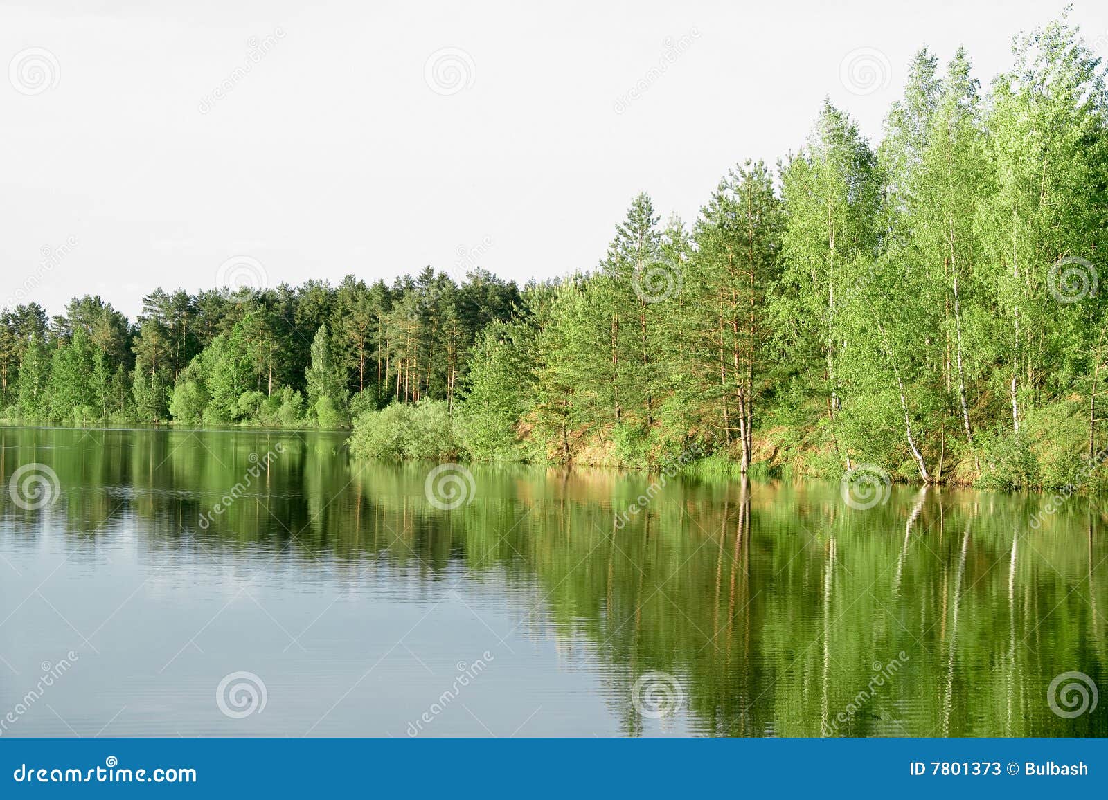 Spring landscape river stock image. Image of park, environment - 7801373